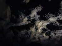 Erkunde Queenstown: ein Paradies für Abenteuer- und Naturfans!