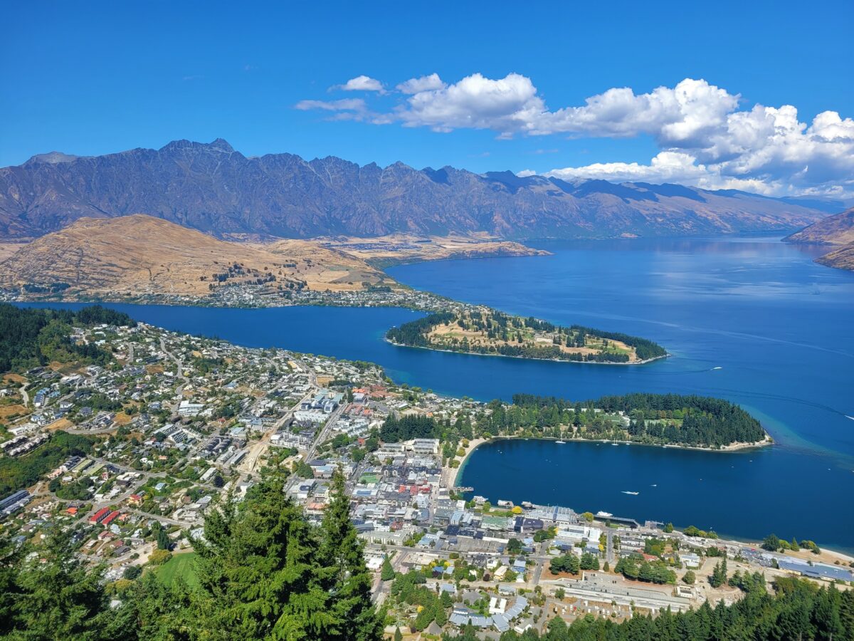 Entdecke Wanaka und den berühmtesten Baum Neuseelands!
